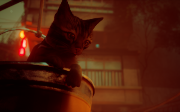 [10+] Stray 4k Wallpapers