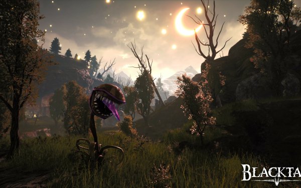 [10+] Blacktail 4k Wallpapers