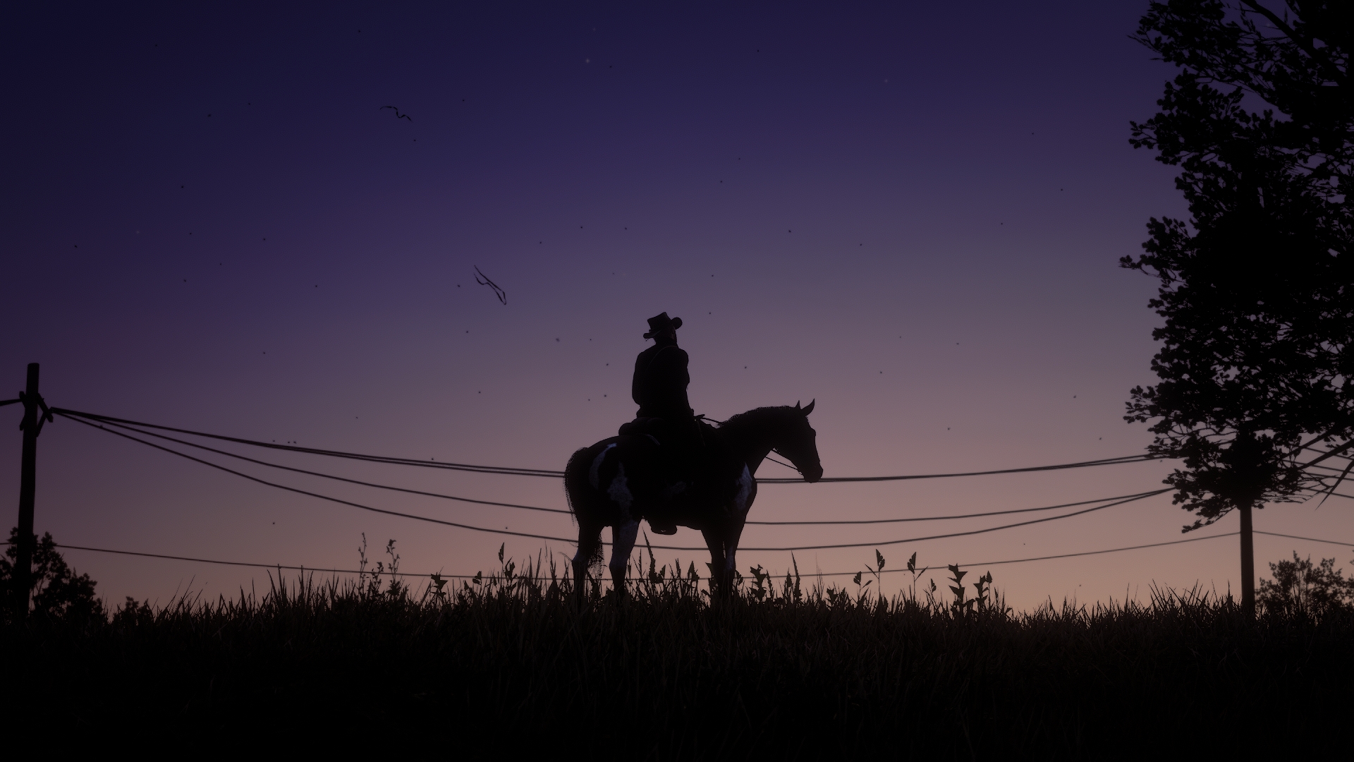 Red Dead Redemption 2 - Lonely night by Martillo