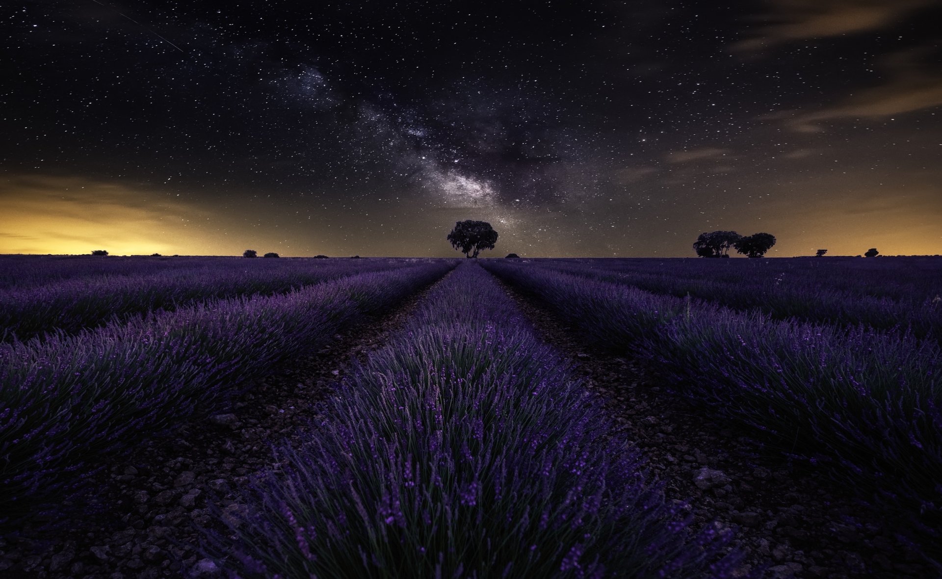 Download Field Night Nature Lavender HD Wallpaper by Juan Lopez Ruiz ...