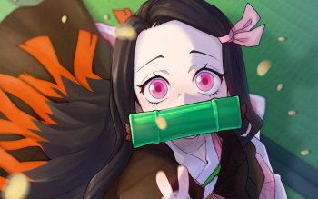 Download Nezuko Kamado Anime Demon Slayer: Kimetsu No Yaiba PFP by you8