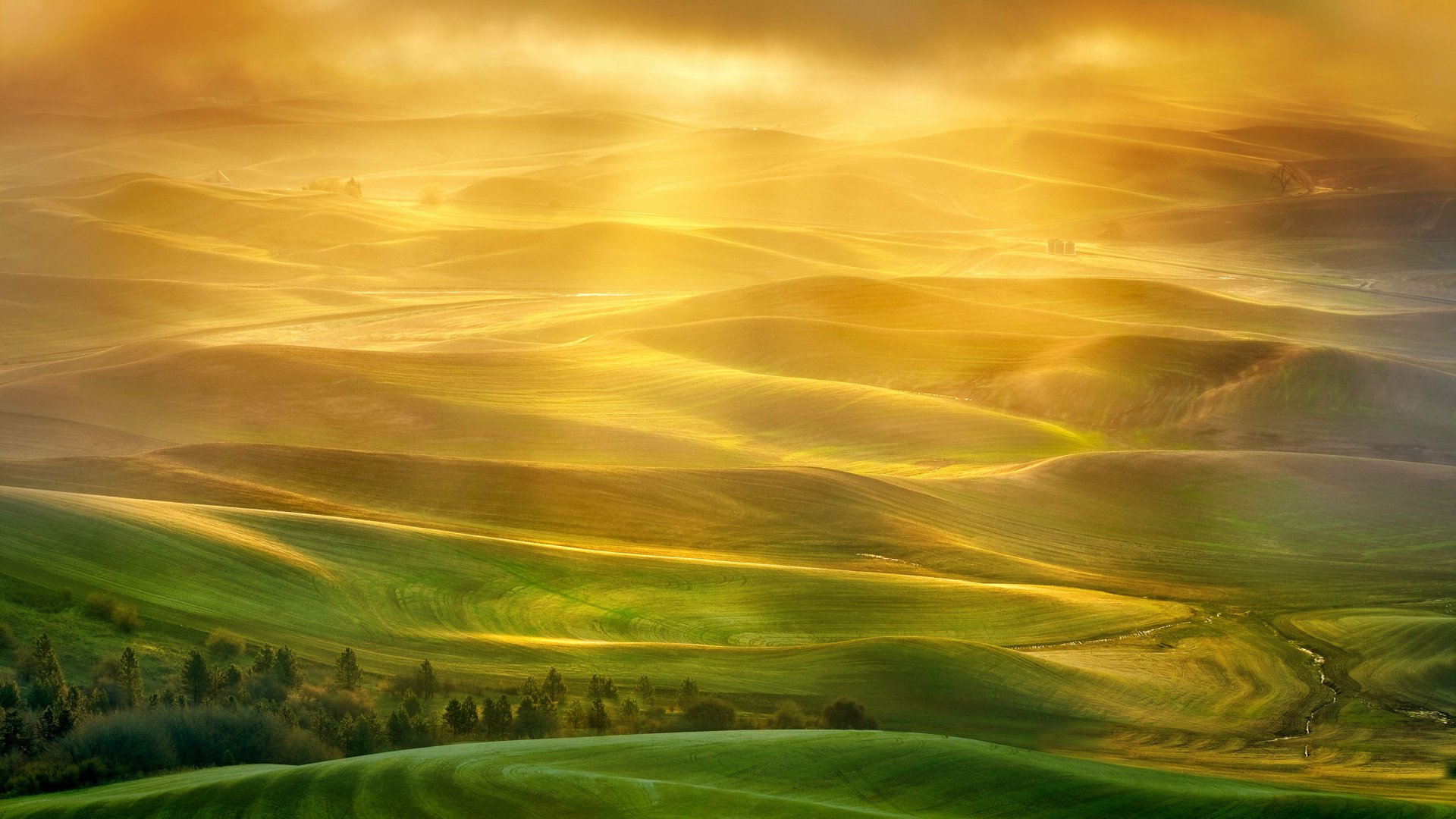 Golden Dawn Over Rolling Hills – Stunning Nature HD Landscape