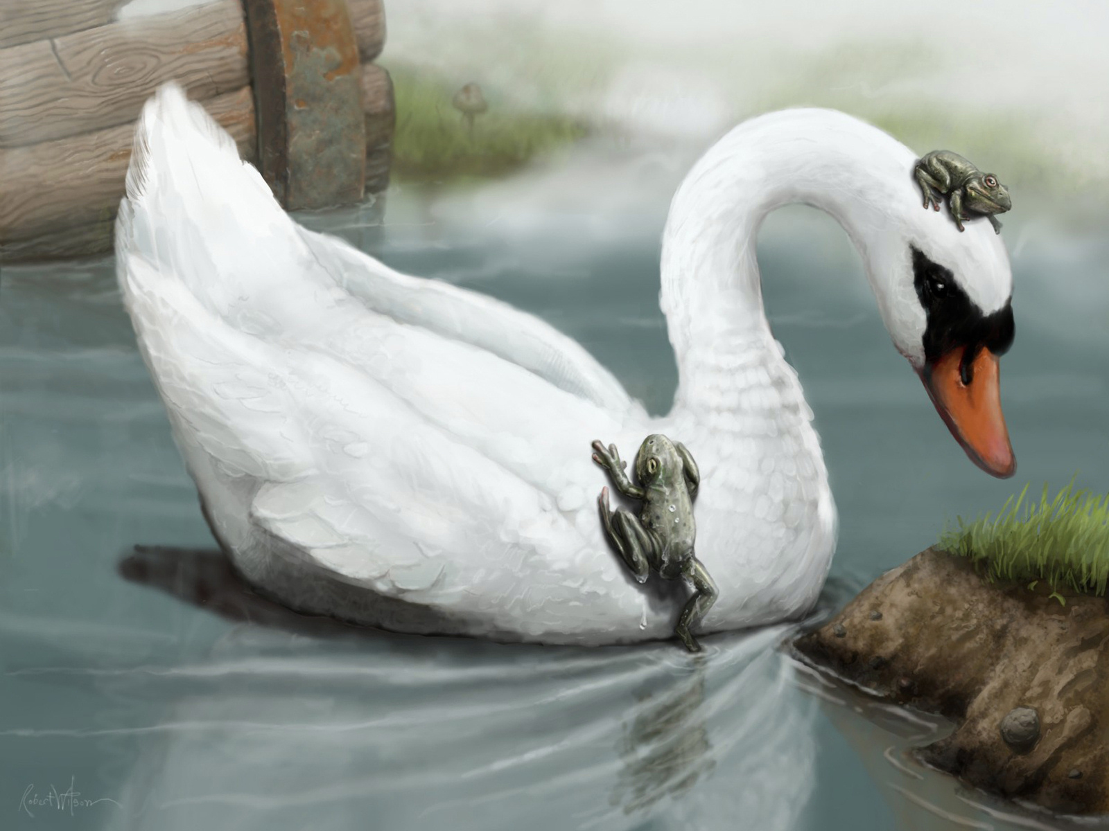 Mute swan Wallpaper