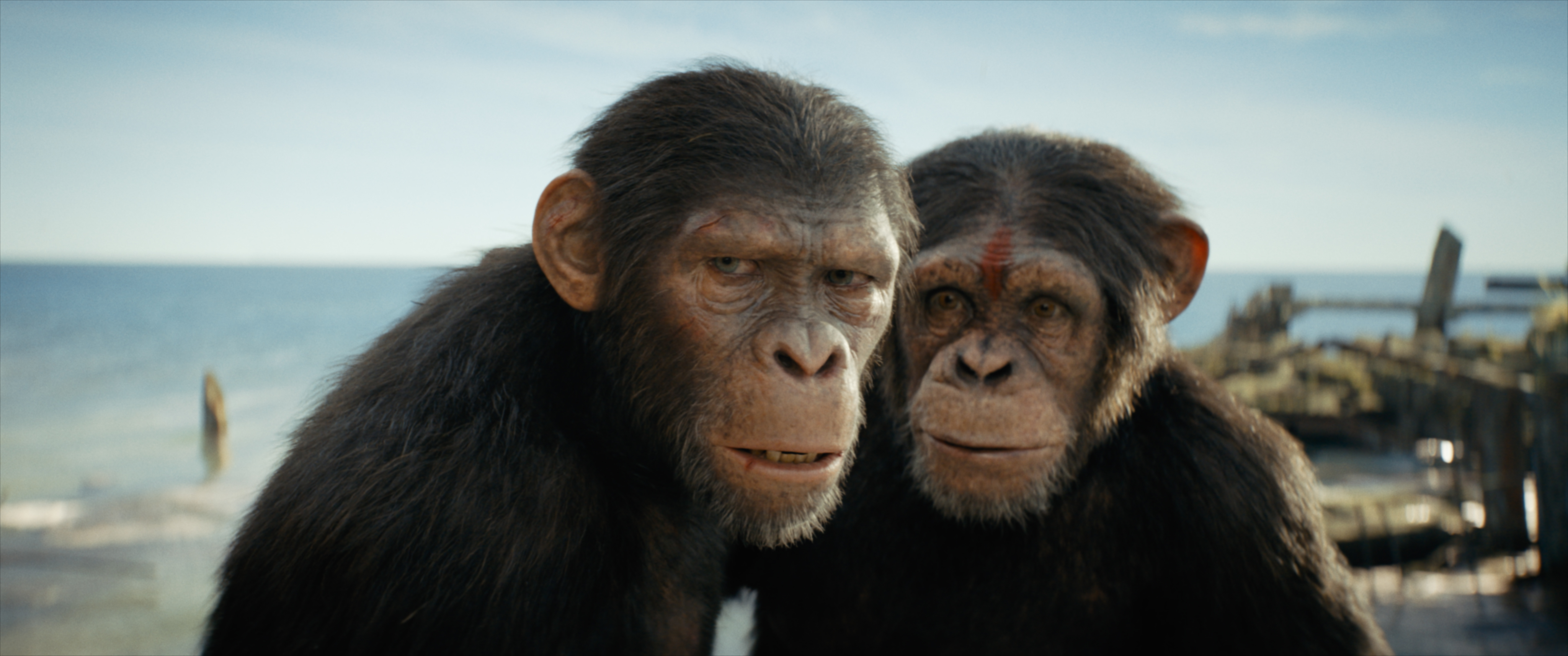 Kingdom of the Planet of the Apes HD Wallpaper