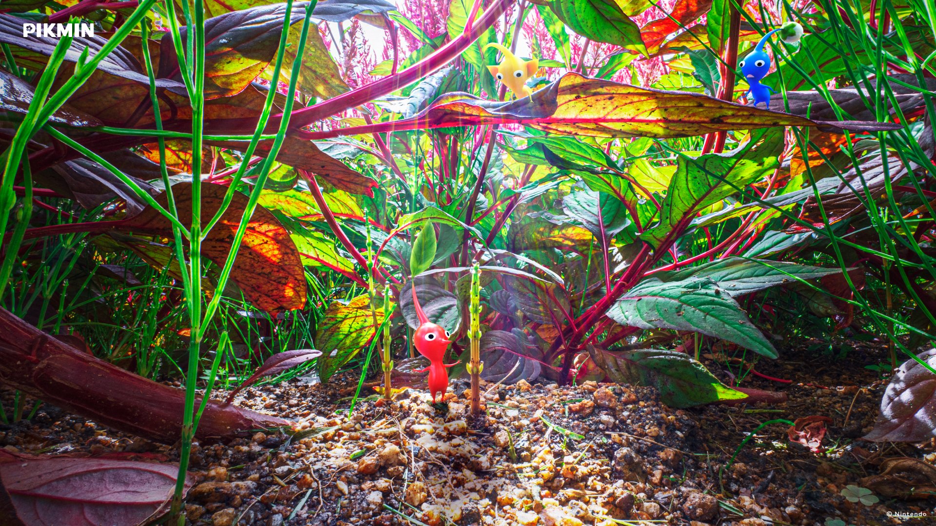 Download Pikmin HD Wallpaper
