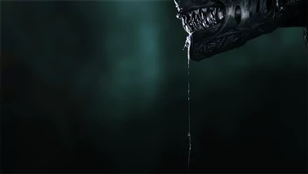 Alien: Romulus - Desktop Wallpapers, Phone Wallpaper, PFP, Gifs, and More!