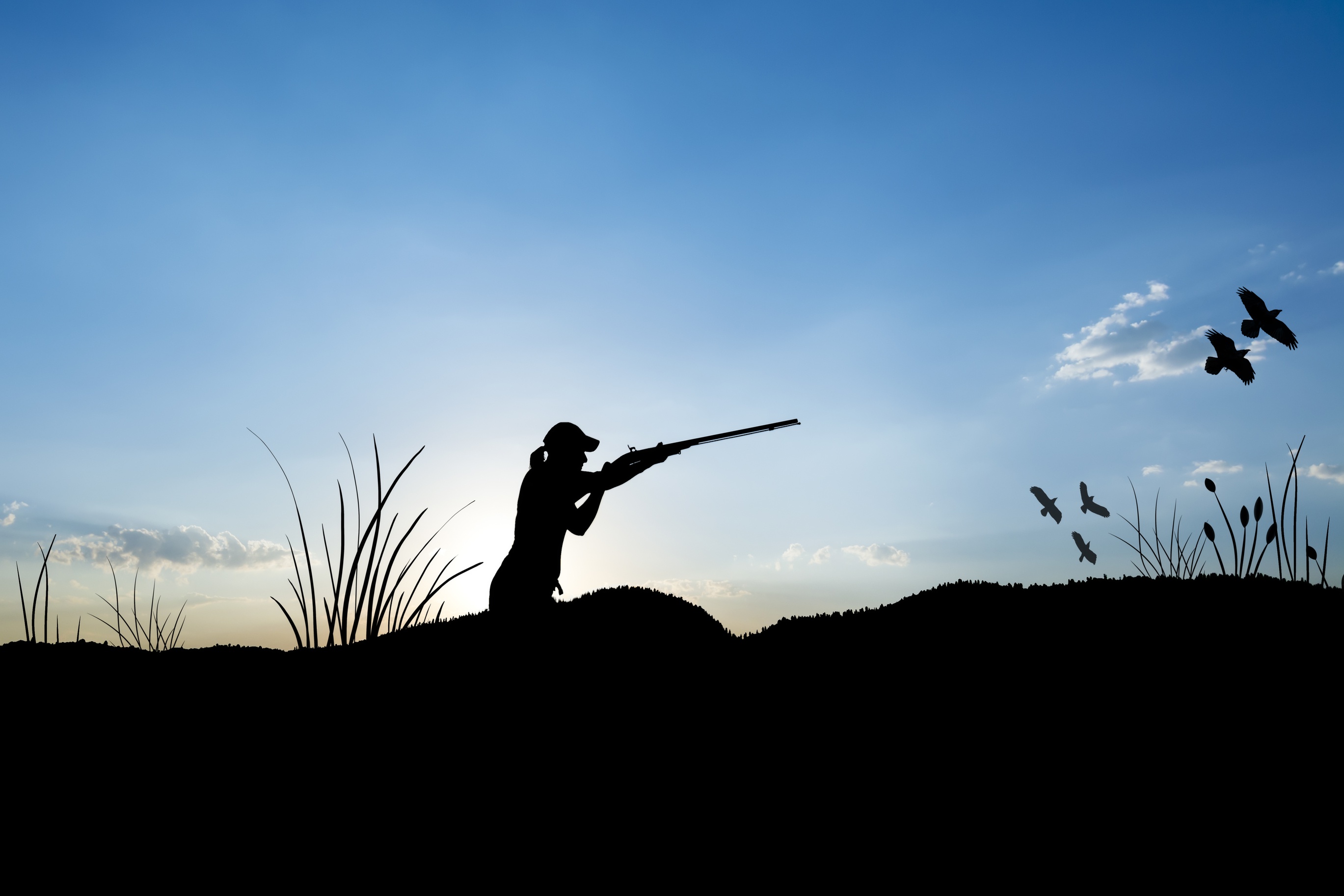 Download Landscape Shadow Gun HD Wallpaper