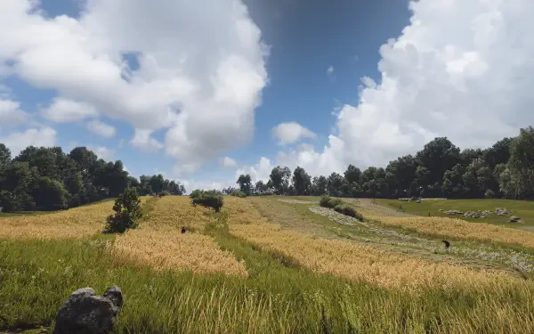 [30+] Kingdom Come: Deliverance II Wallpapers