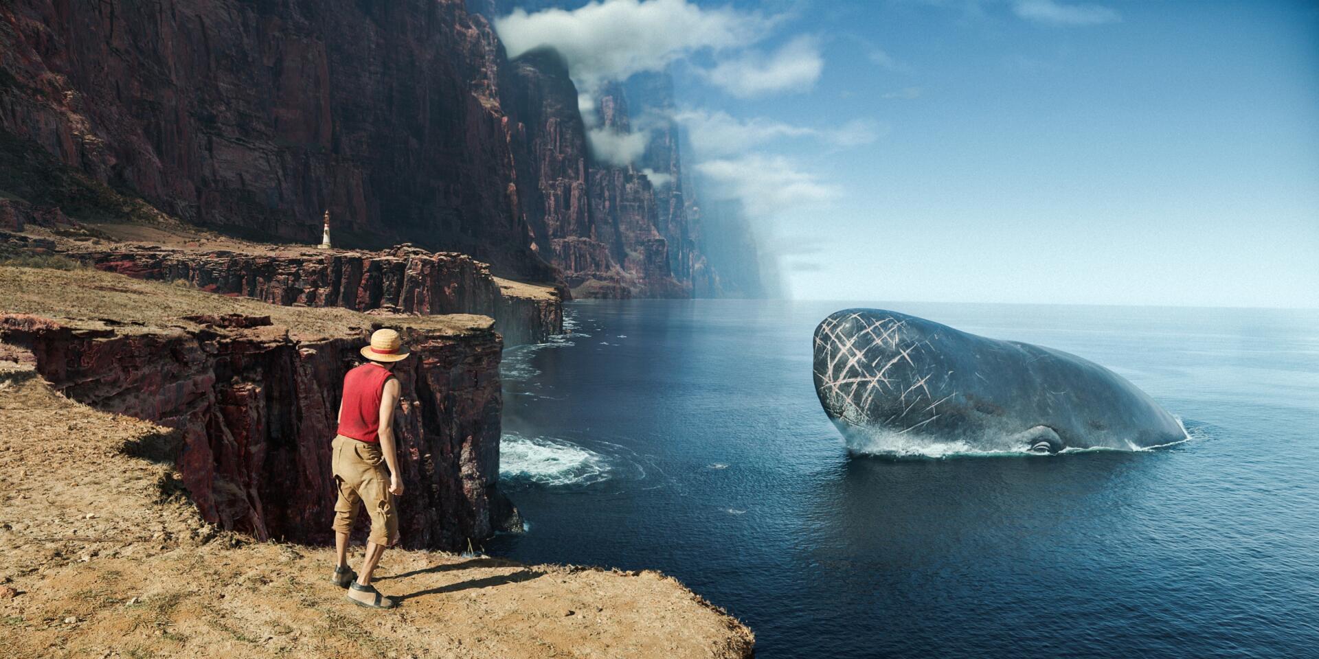 Luffy & Laboon — One Piece Live Action 2K Quad HD