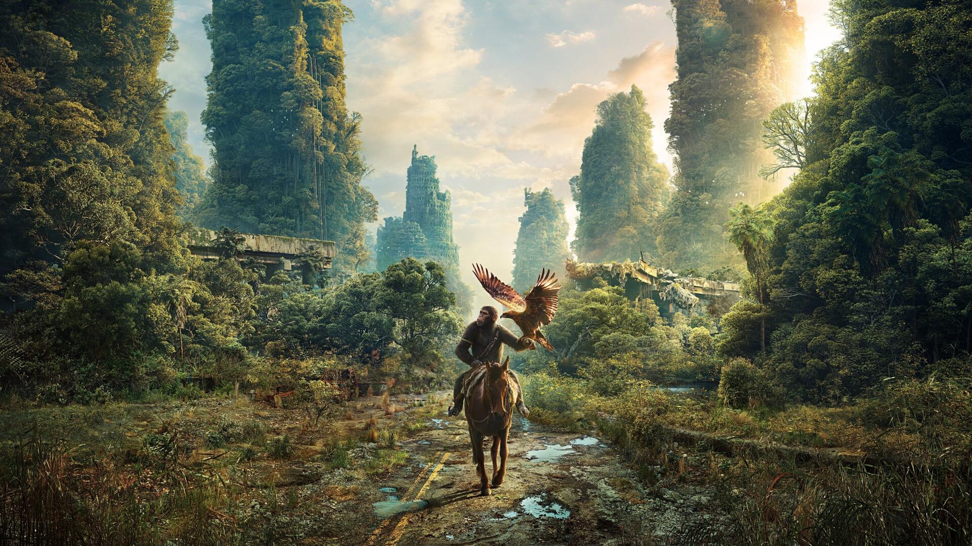 Download Kingdom Of The Planet Of The Apes 4k Ultra HD Wallpaper