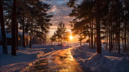 Winter Sunset - Desktop Wallpapers, Phone Wallpaper, PFP, Gifs, and More!