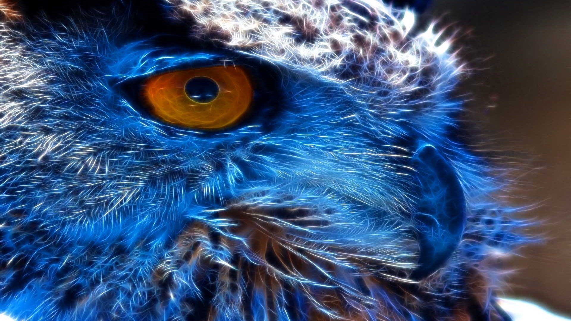 Beautiful Owl Desktop Wallpaper
