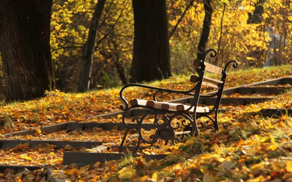 Download Man Made Bench HD Wallpaper