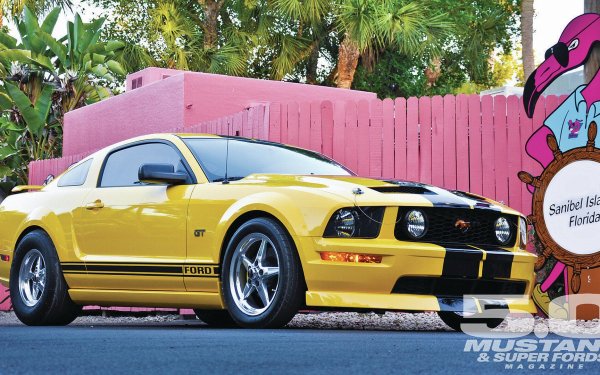 Ford Mustang GT - Desktop Wallpapers, Phone Wallpaper, PFP, Gifs, and More!