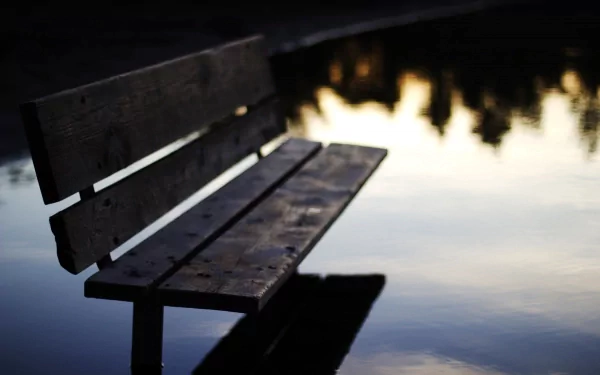 Download Man Made Bench HD Wallpaper