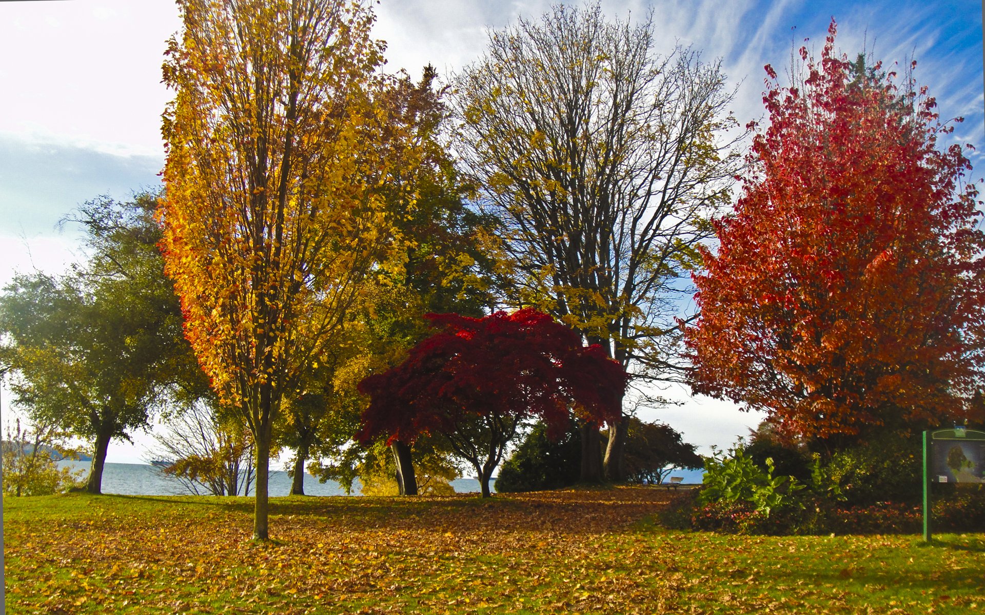 West Coast Fall by Visionary | 1920x1200 | Wallpaper Abyss