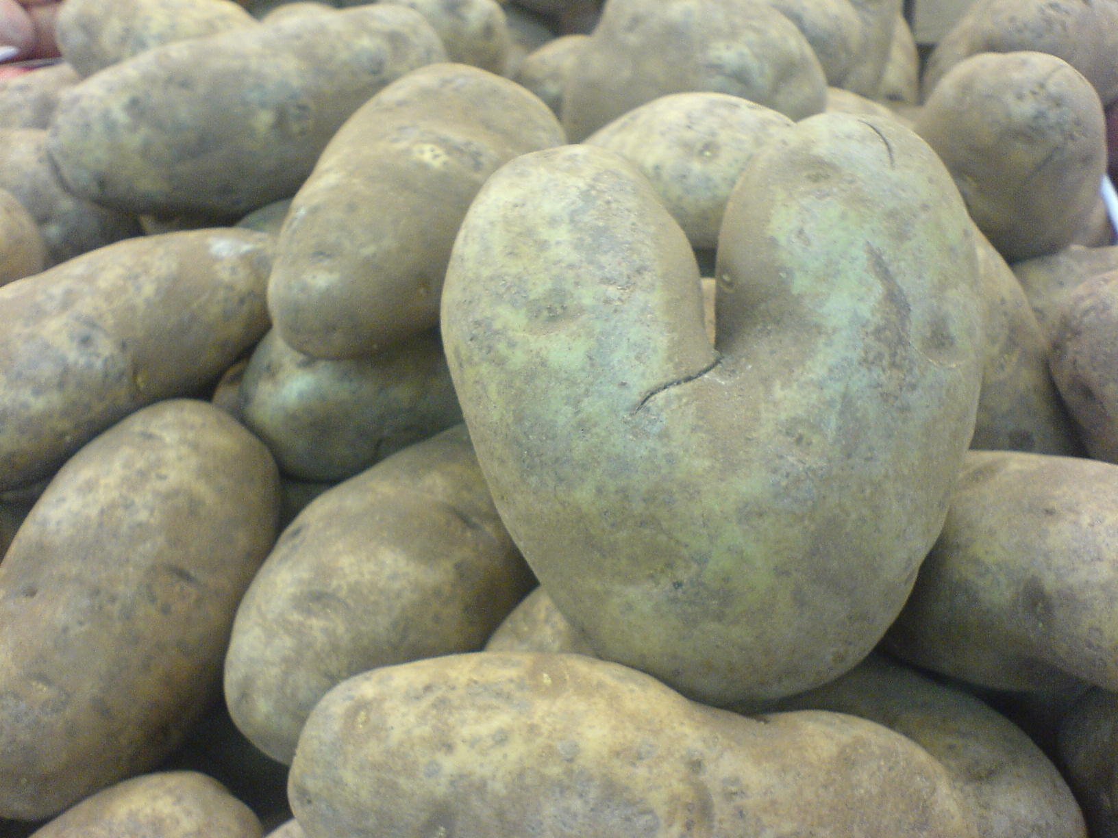 Quirky Potatoes: A Unique HD Wallpaper for Food Lovers