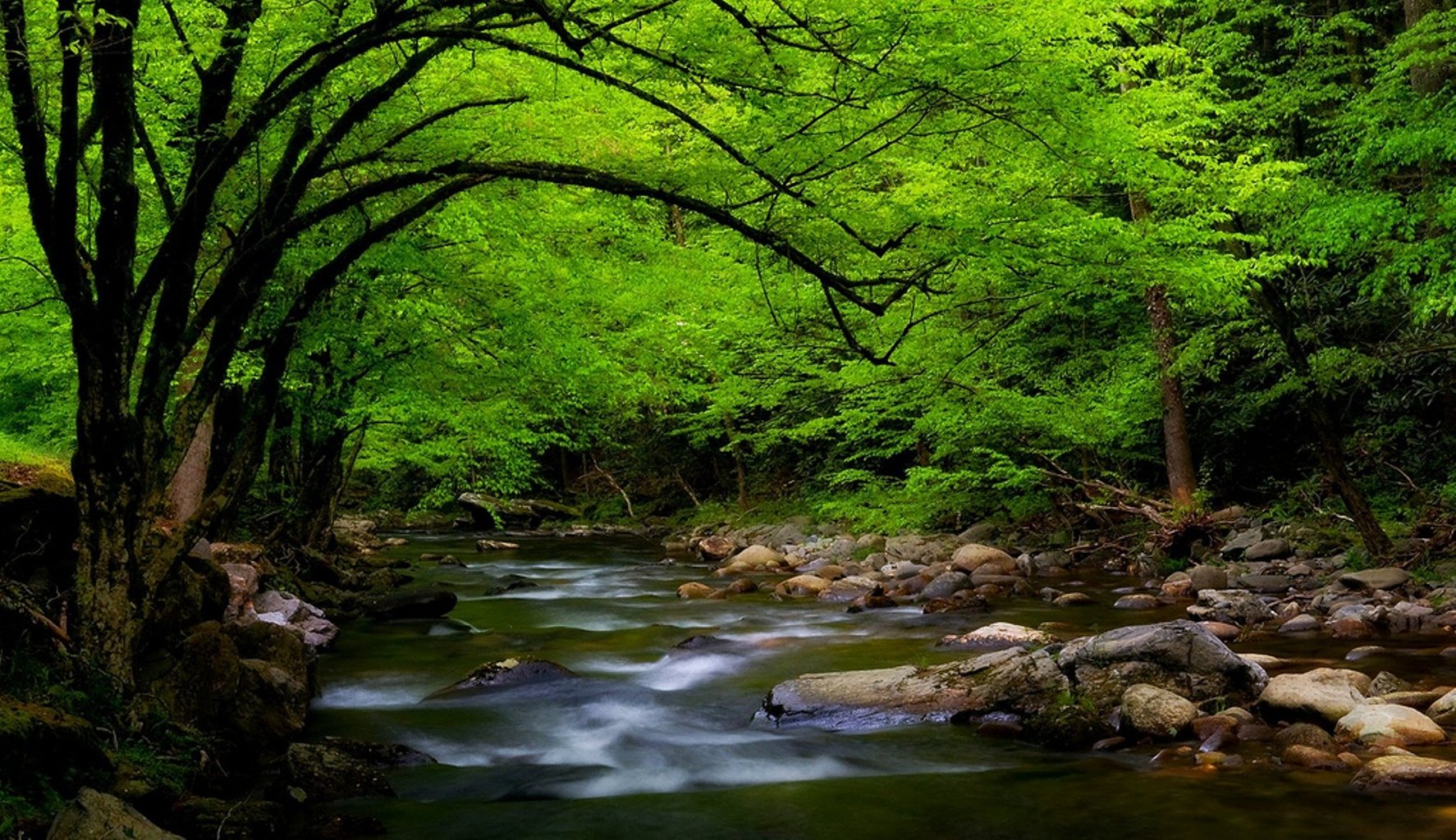 Download Nature River Wallpaper