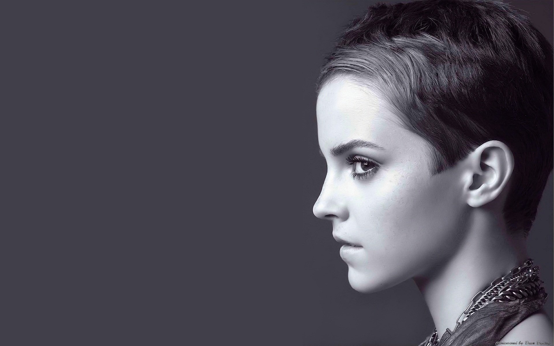 Emma Watson HD Celebrity Portrait – Elegant Profile Wallpaper