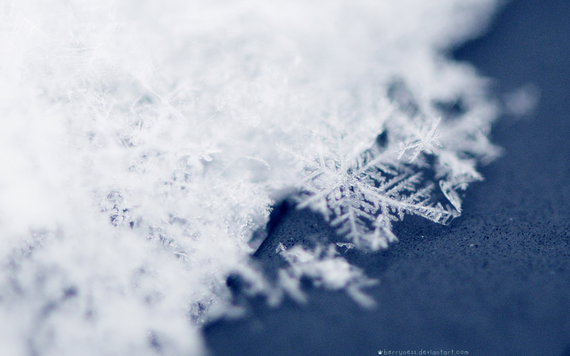 Nature Snowflake HD Wallpaper