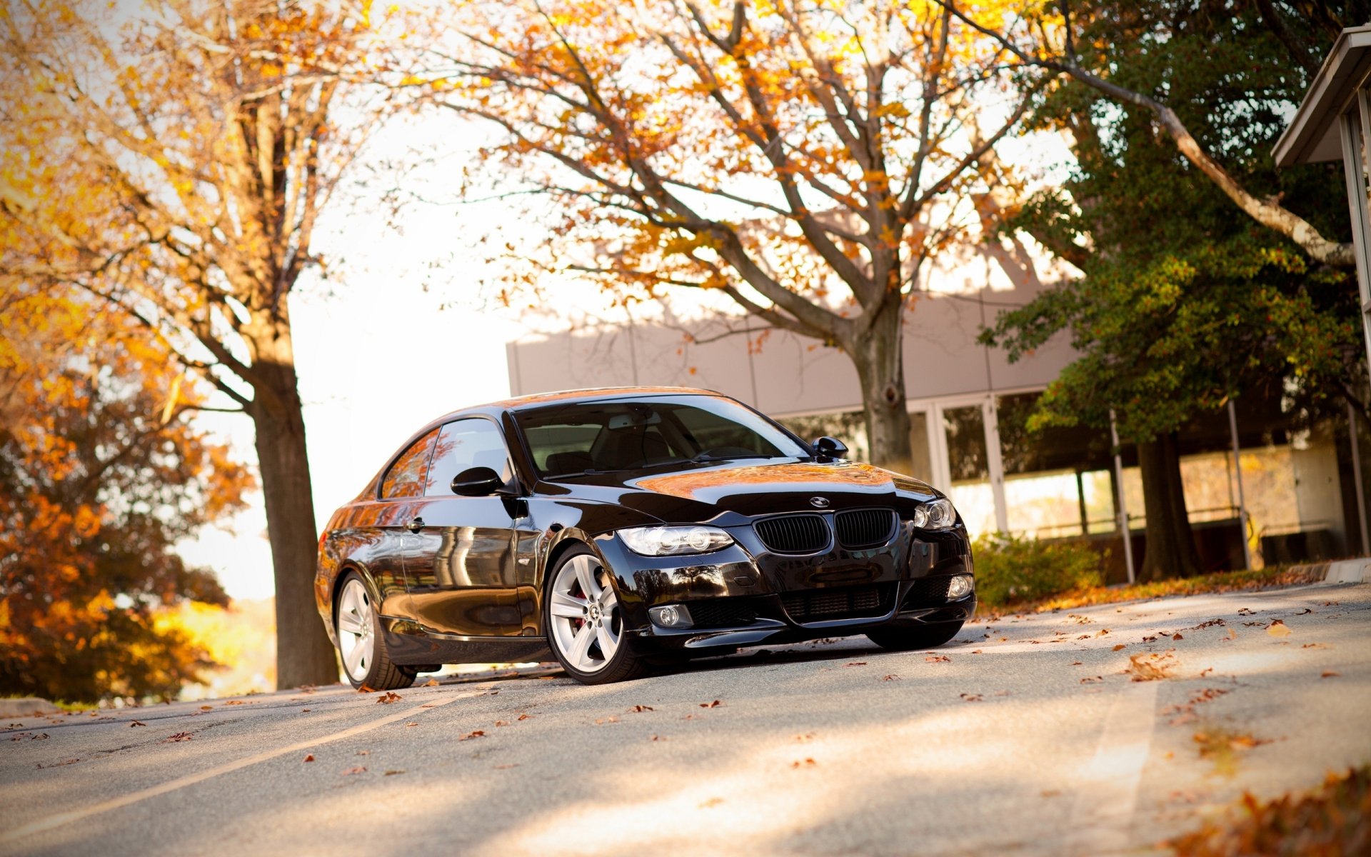Download Vehicle Car HD Wallpaper