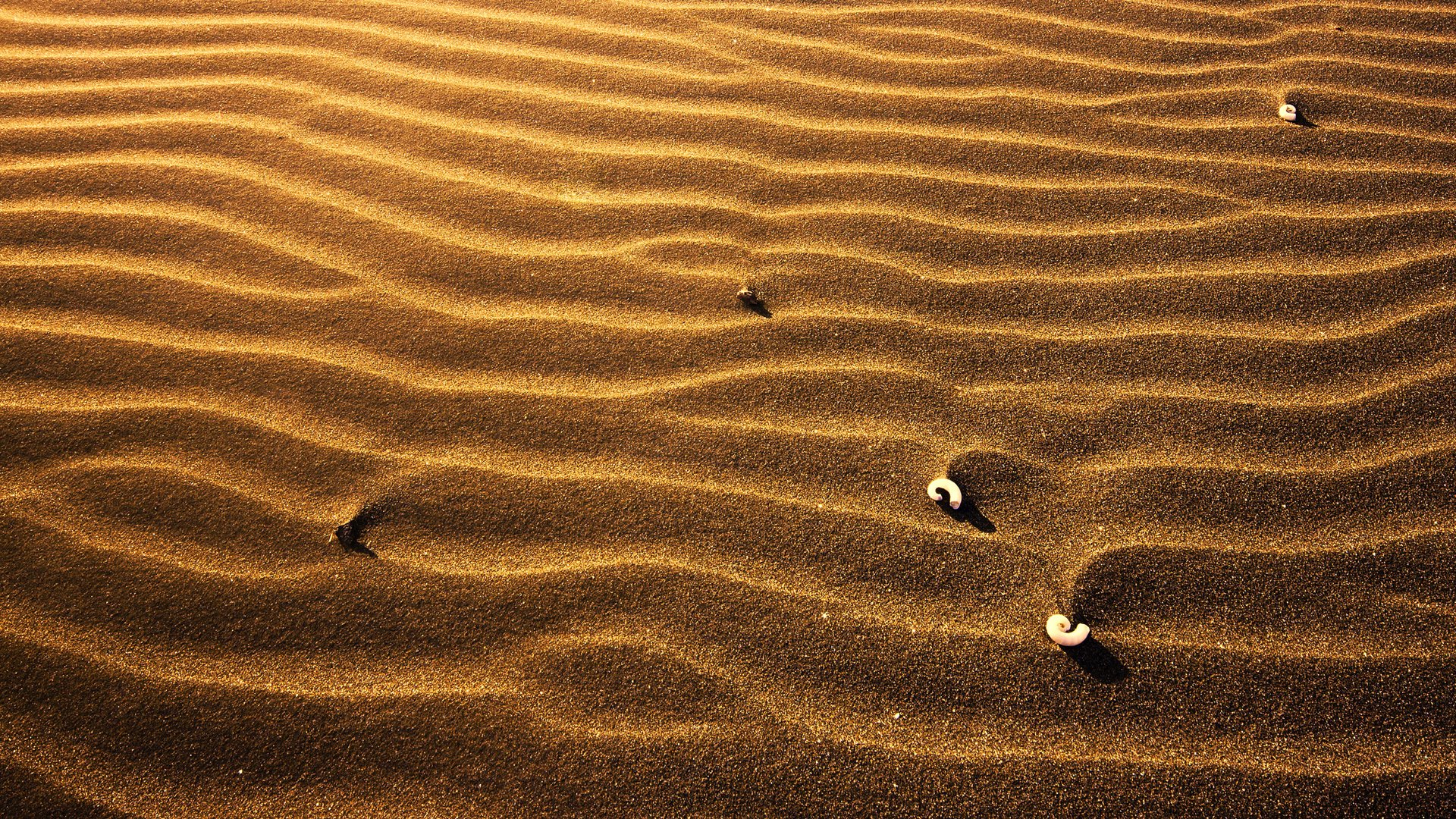 Desert Waves: Stunning HD Nature Wallpaper | 1920x1080 | Wallpaper Abyss