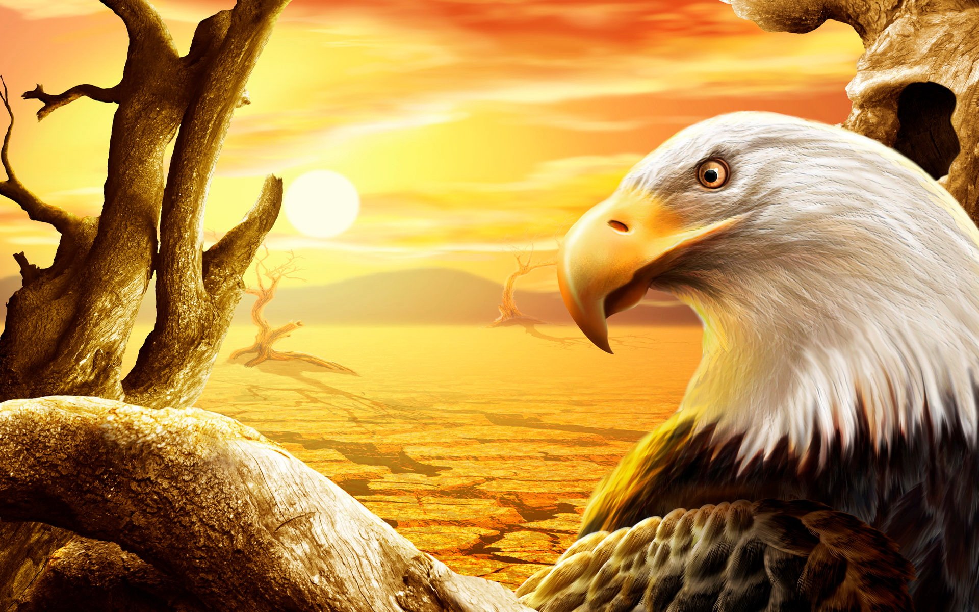 Majestic Eagle at Sunset – Artistic HD Wildlife Wallpaper | 1920x1200 ...