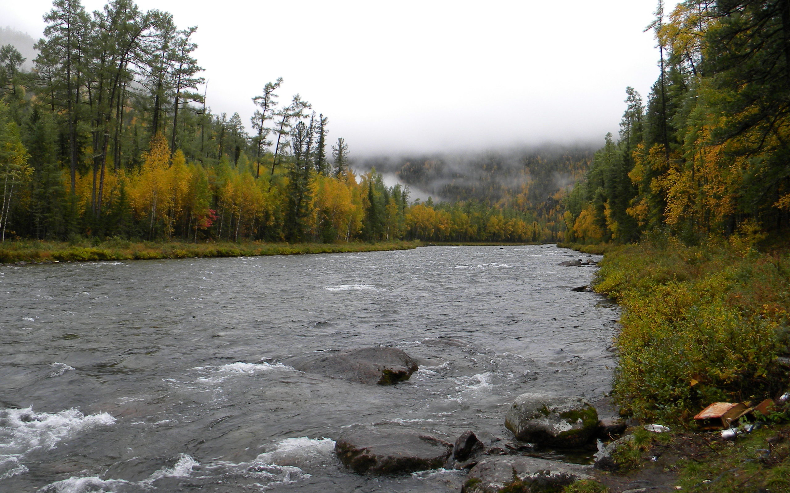 Download Nature River HD Wallpaper