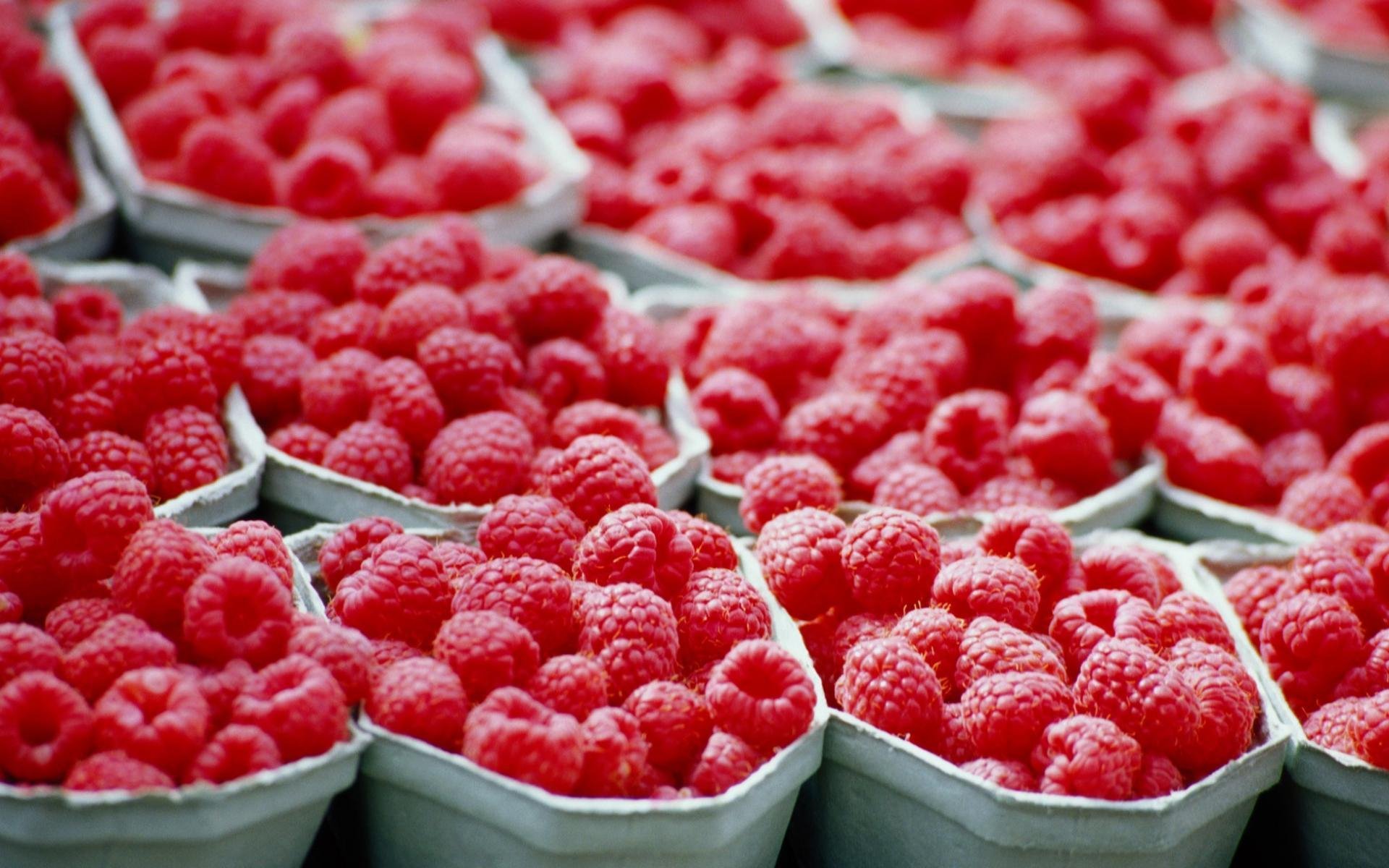 Download Food Raspberry HD Wallpaper | 1920x1200 | Wallpaper Abyss