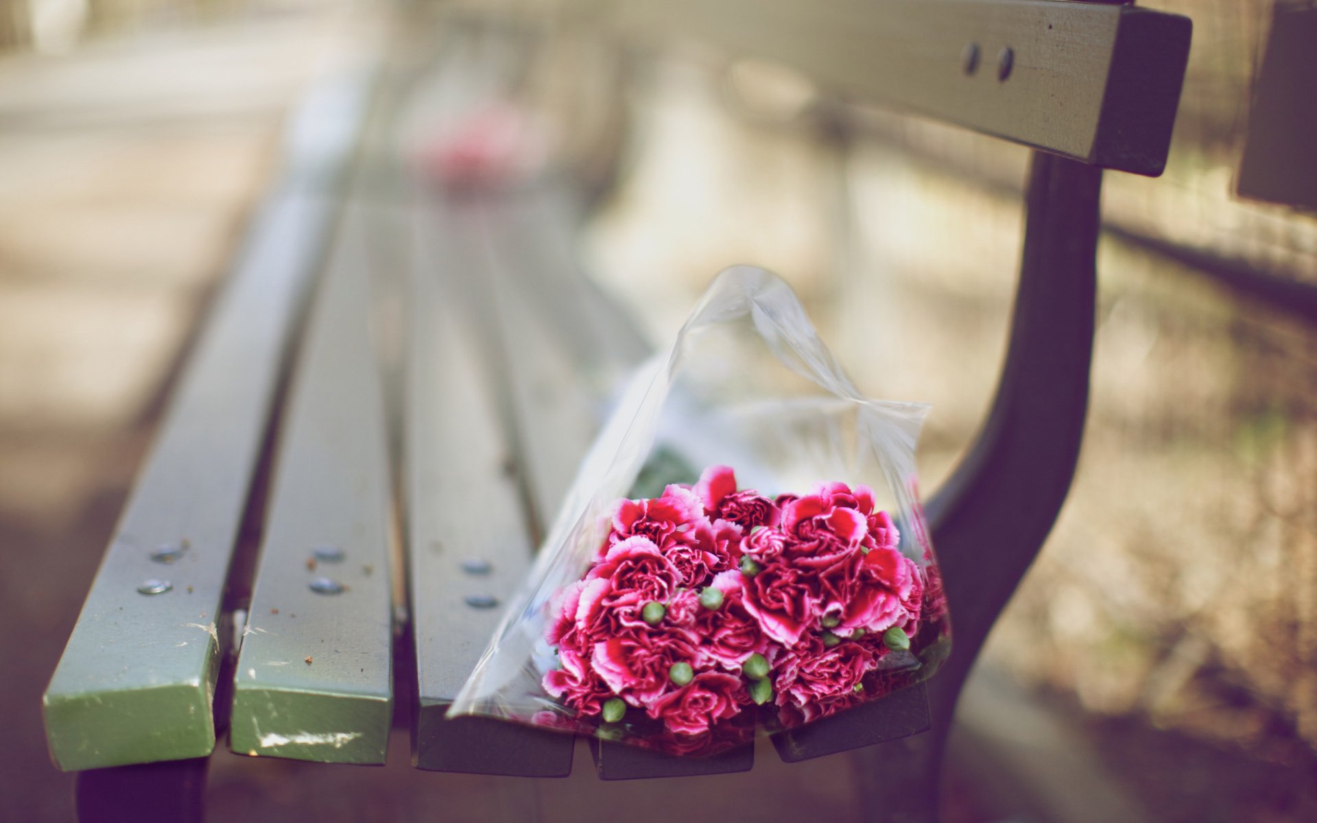 Download Man Made Bench HD Wallpaper