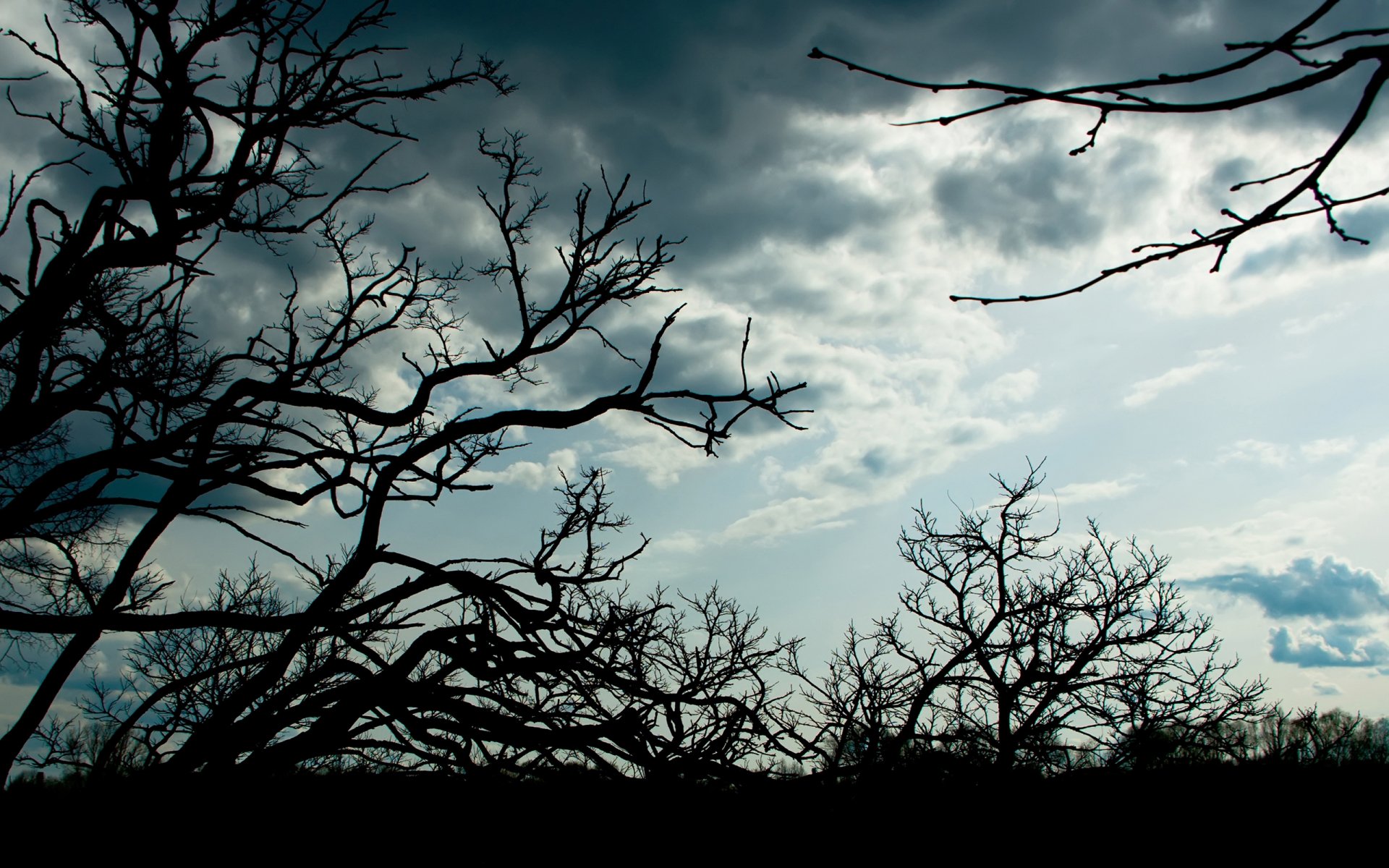 Download Nature Cloud HD Wallpaper