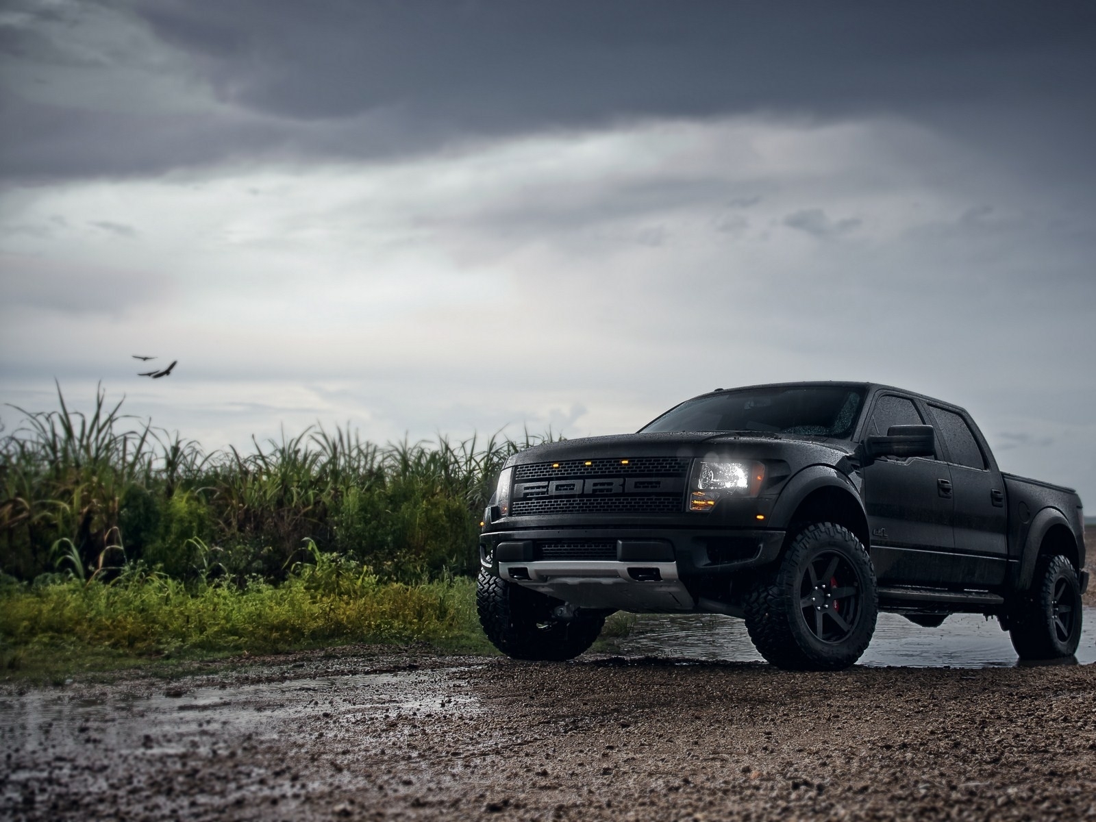 Download Vehicle Ford Wallpaper