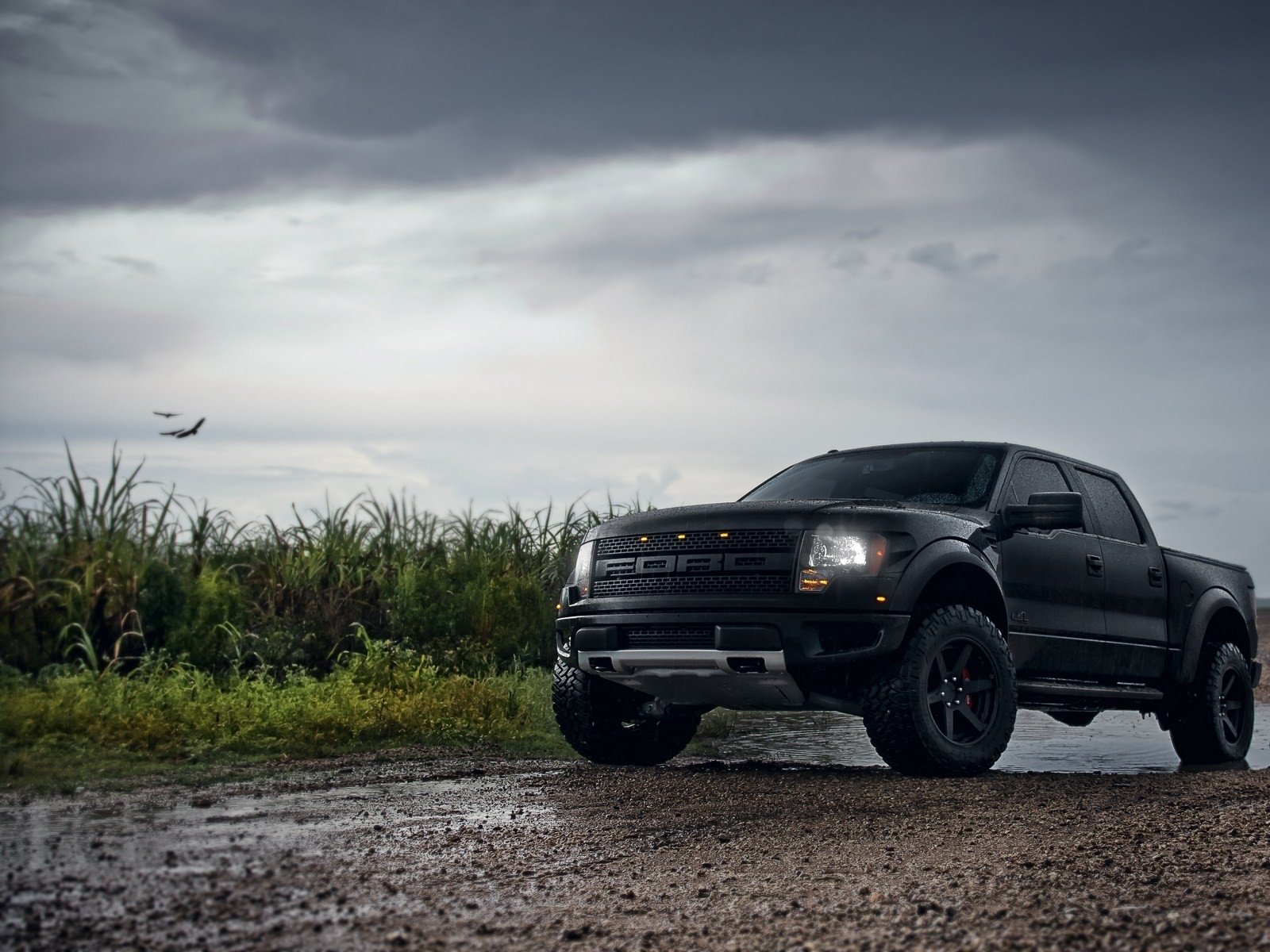 Download Vehicle Ford Wallpaper