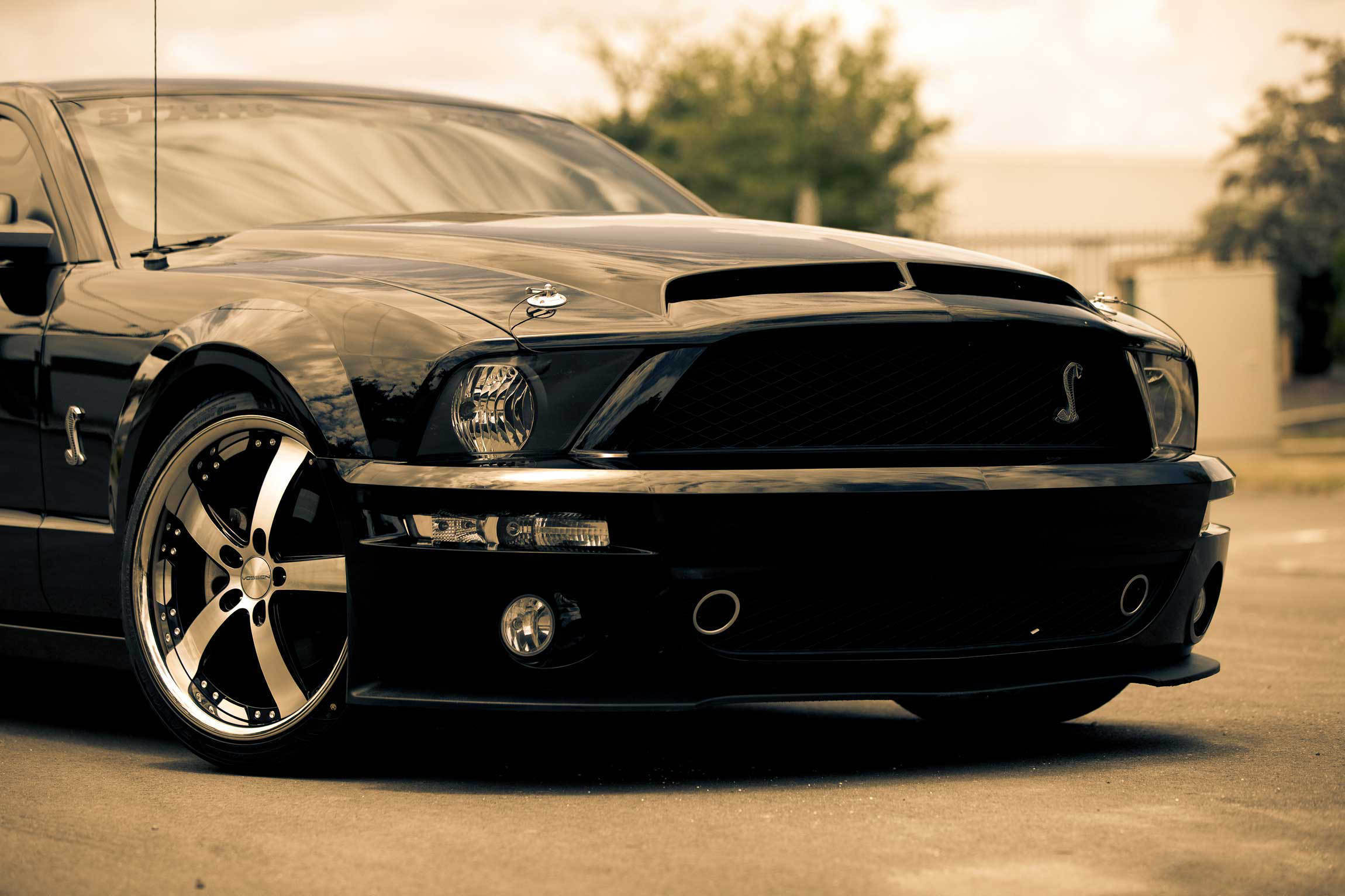 Download Vehicle Ford HD Wallpaper