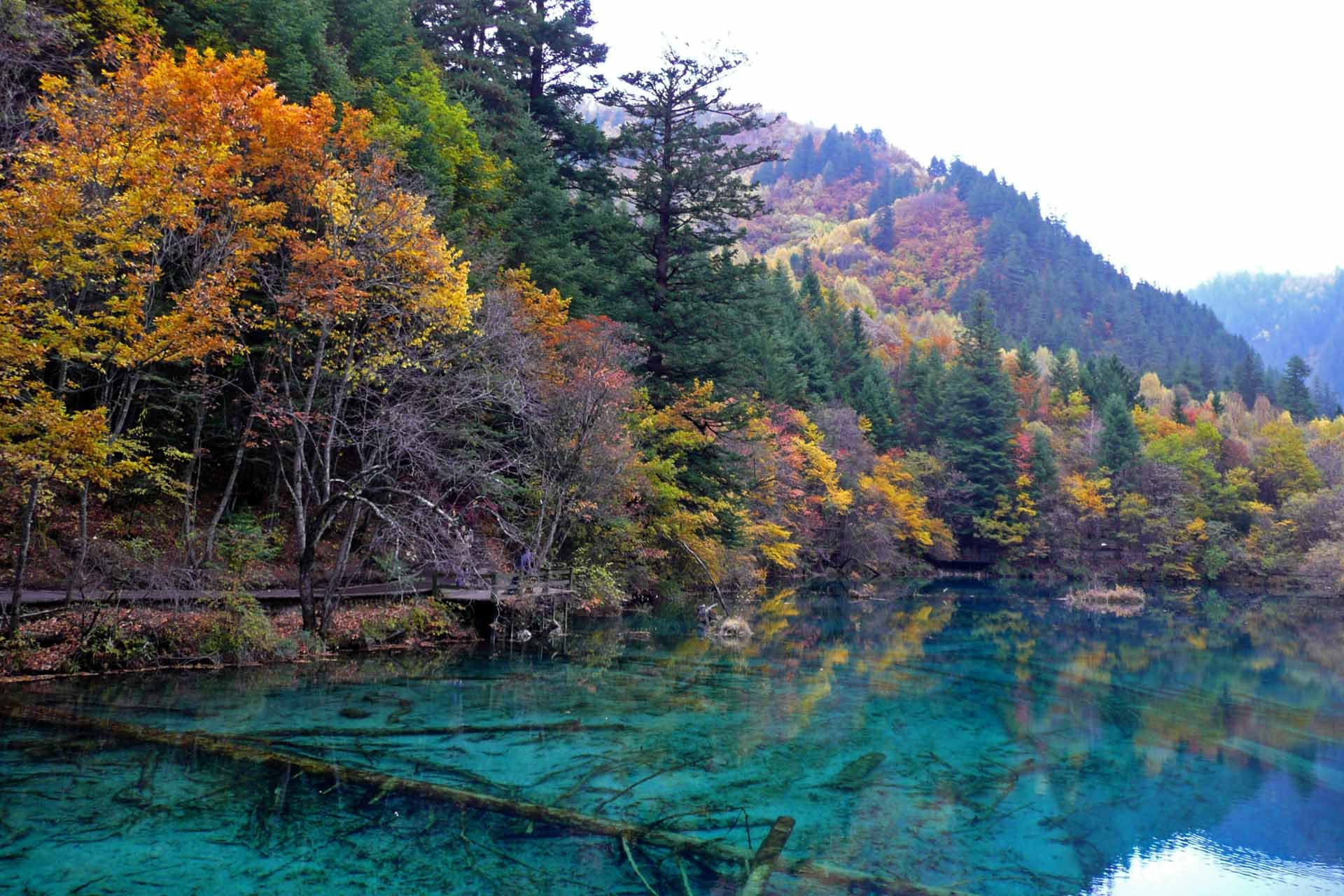 Stunning Autumn Landscape HD: Nature’s Vibrant Reflections | 1920x1280 ...