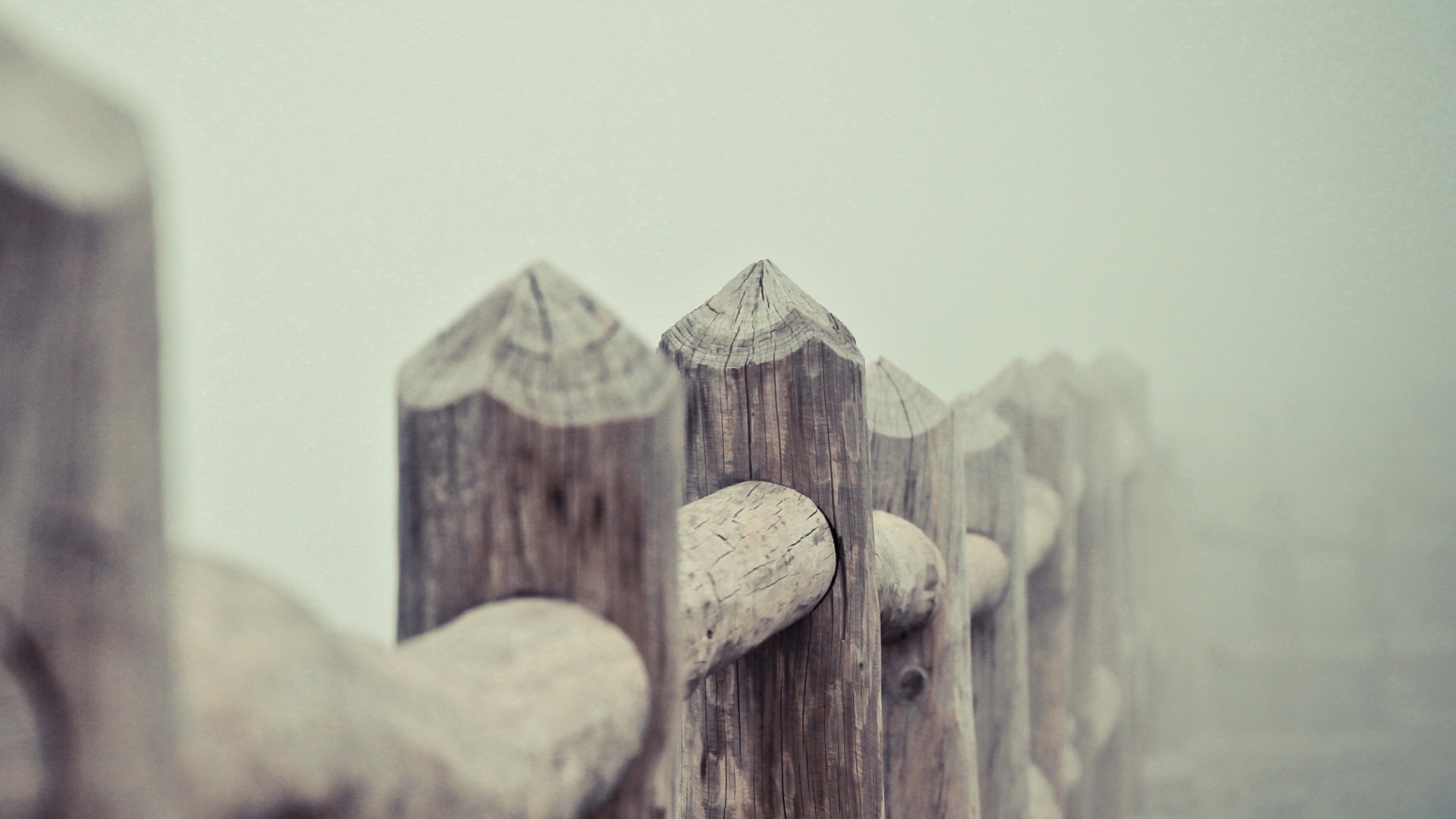 Download Man Made Fence Fog Nature Wooden Posts HD Wallpaper