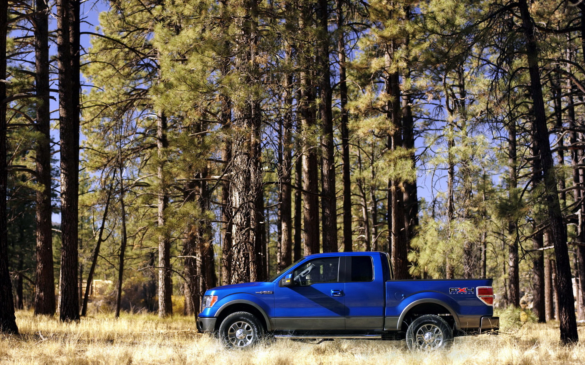 Download Vehicle Ford F-150 Ford F-150 Wallpaper