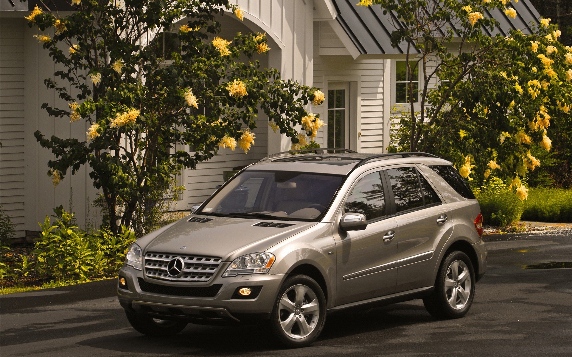 Vehicles Mercedes HD Wallpaper