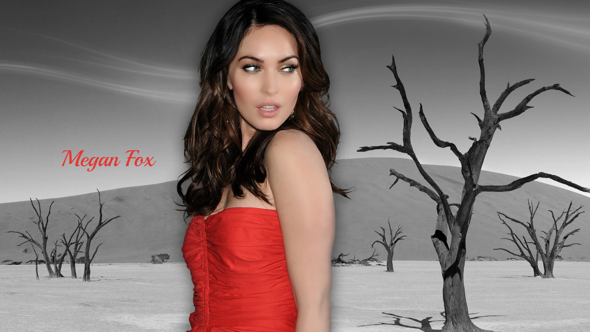 Megan Fox by Googlehead