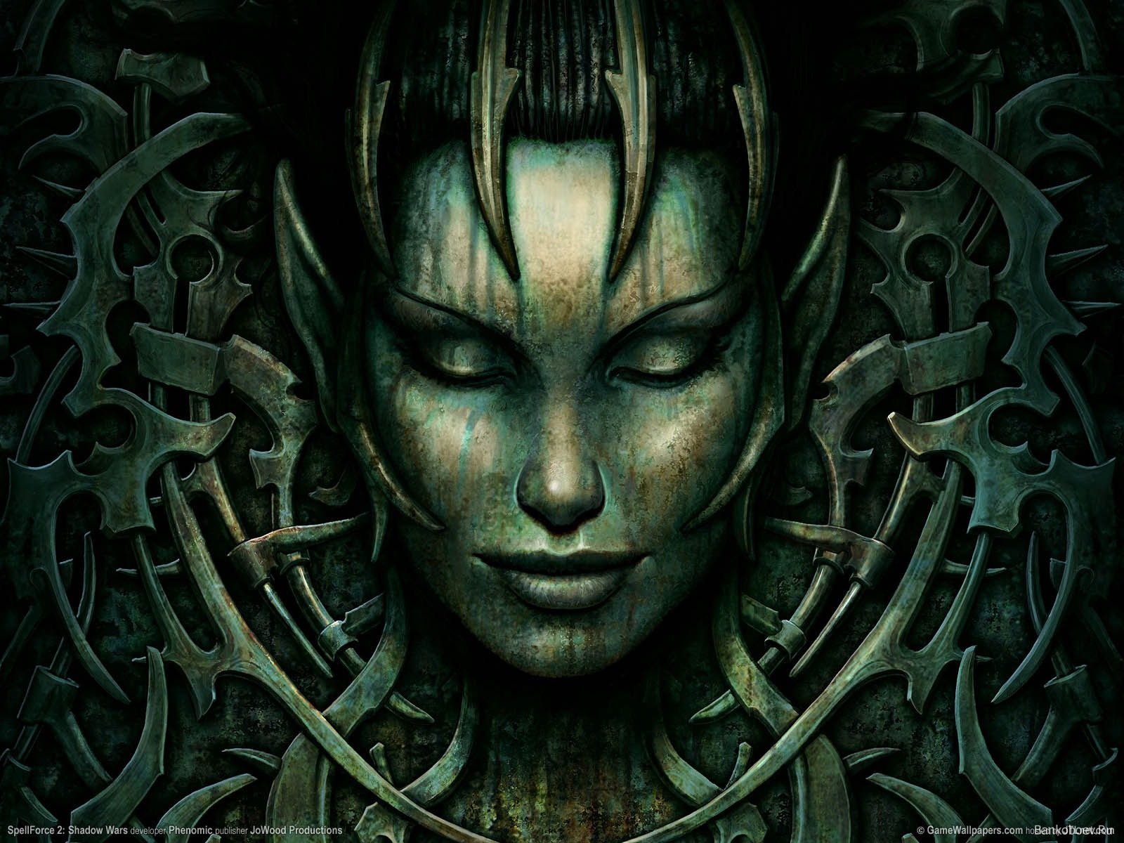 Download Video Game Spellforce Wallpaper