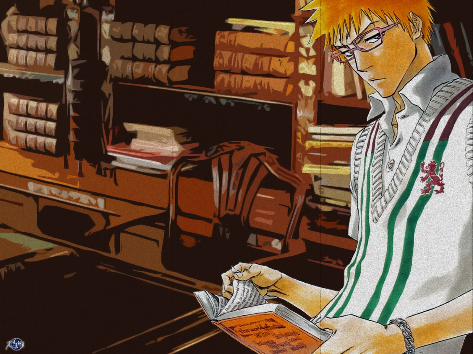Anime Bleach Kurosaki Ichigo Normal