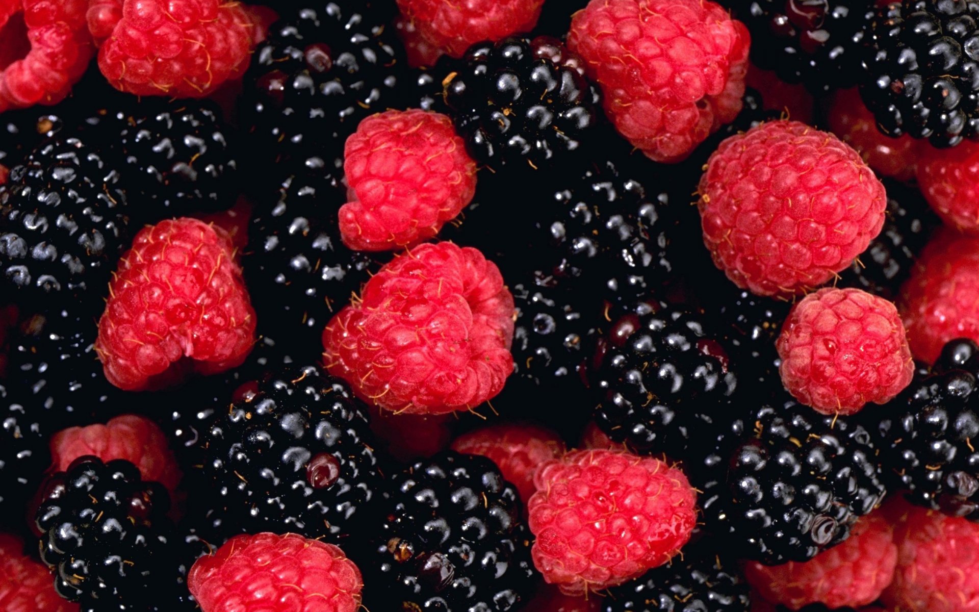 Vibrant Berry Bliss HD Wallpaper: Fresh Raspberries & Blackberries ...