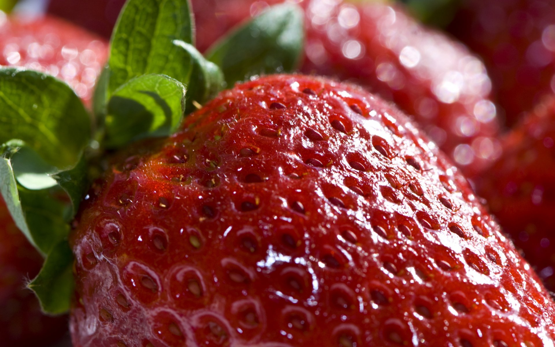 HD Close-Up: Vibrant Strawberry Berry Delight | 2560x1600 | Wallpaper Abyss