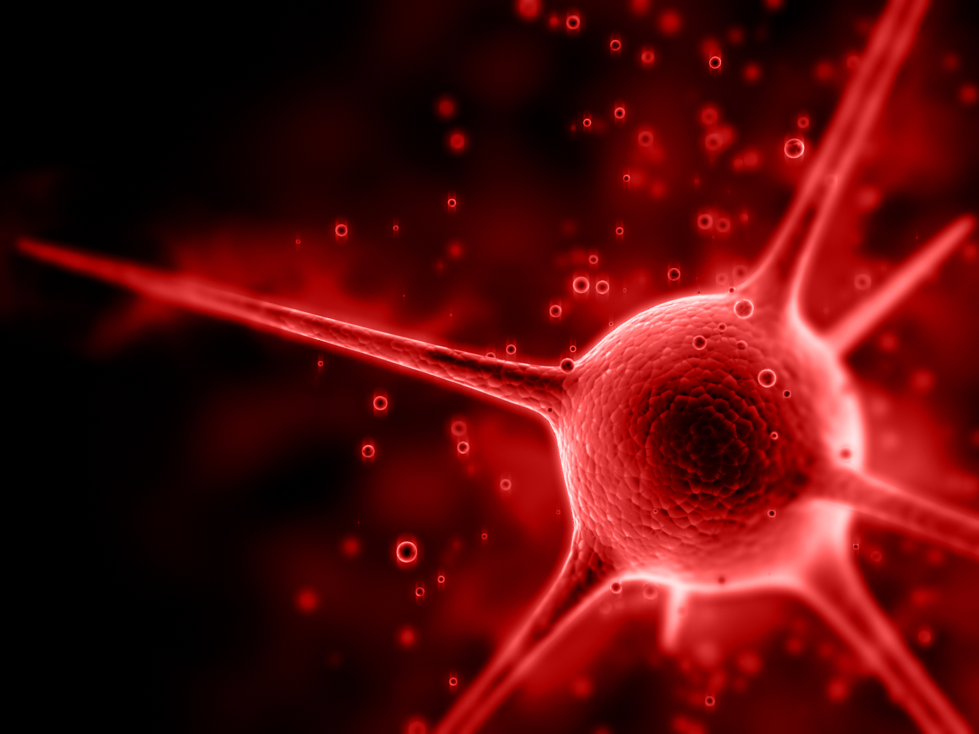 Artistic Red Neuron HD Wallpaper