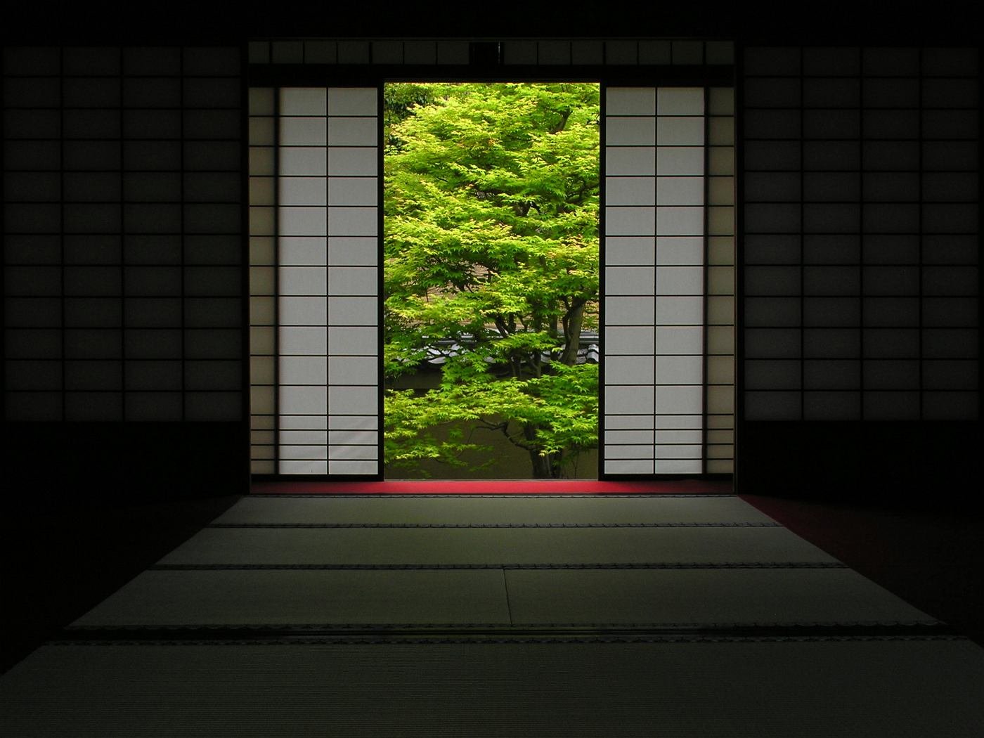 Serene Room View: HD Wallpaper of Nature's Embrace