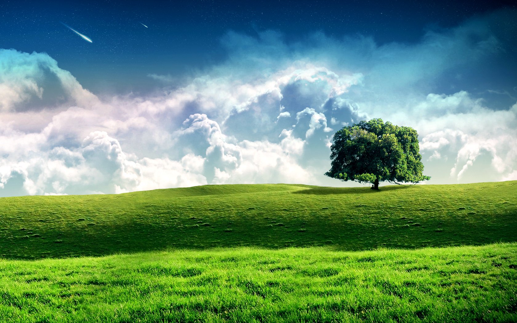 Serene Nature: HD Wallpaper of a Majestic Tree