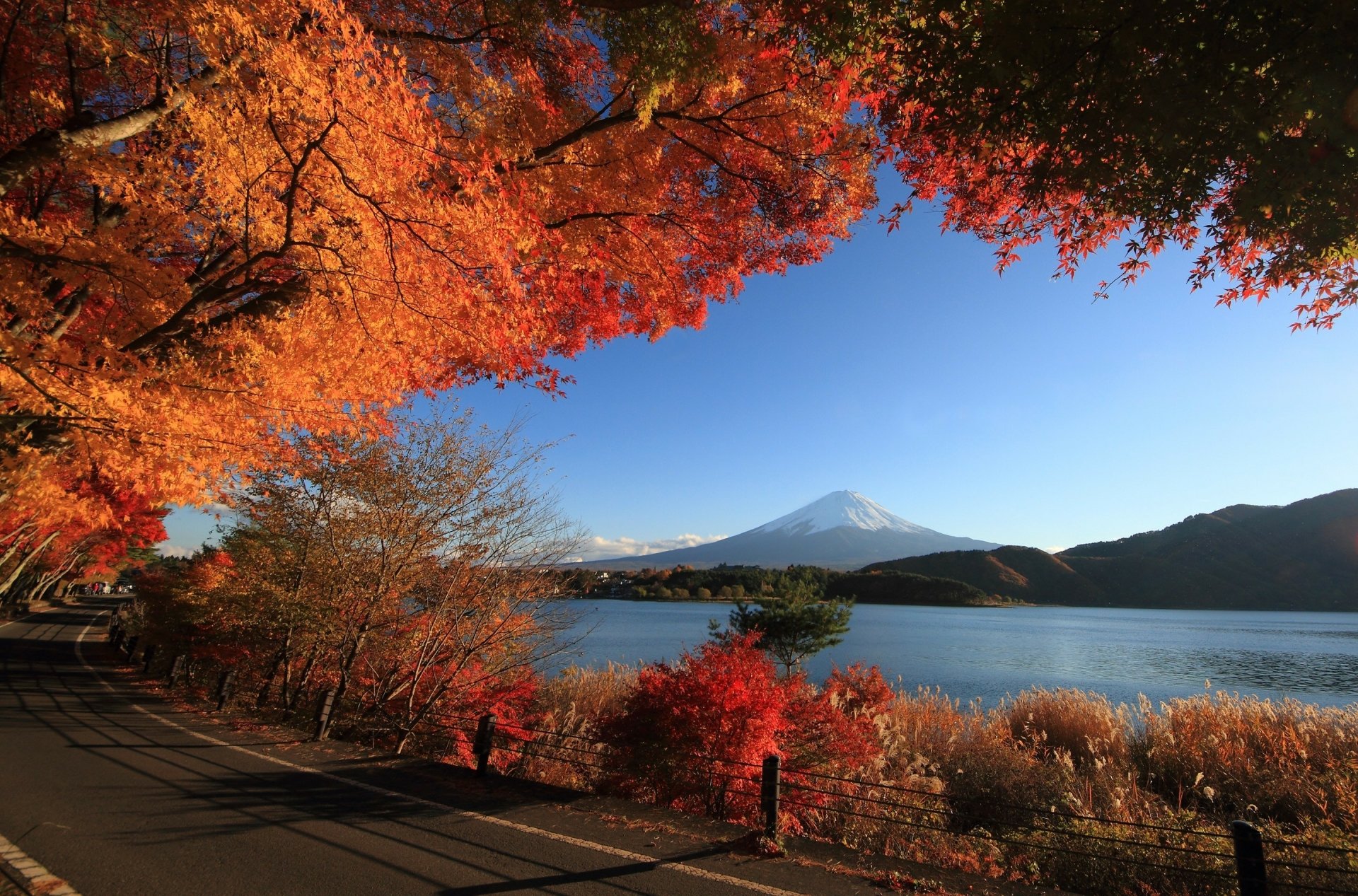 Mount Fuji in Autumn Glory: Japan’s Volcano and Nature HD Wallpaper
