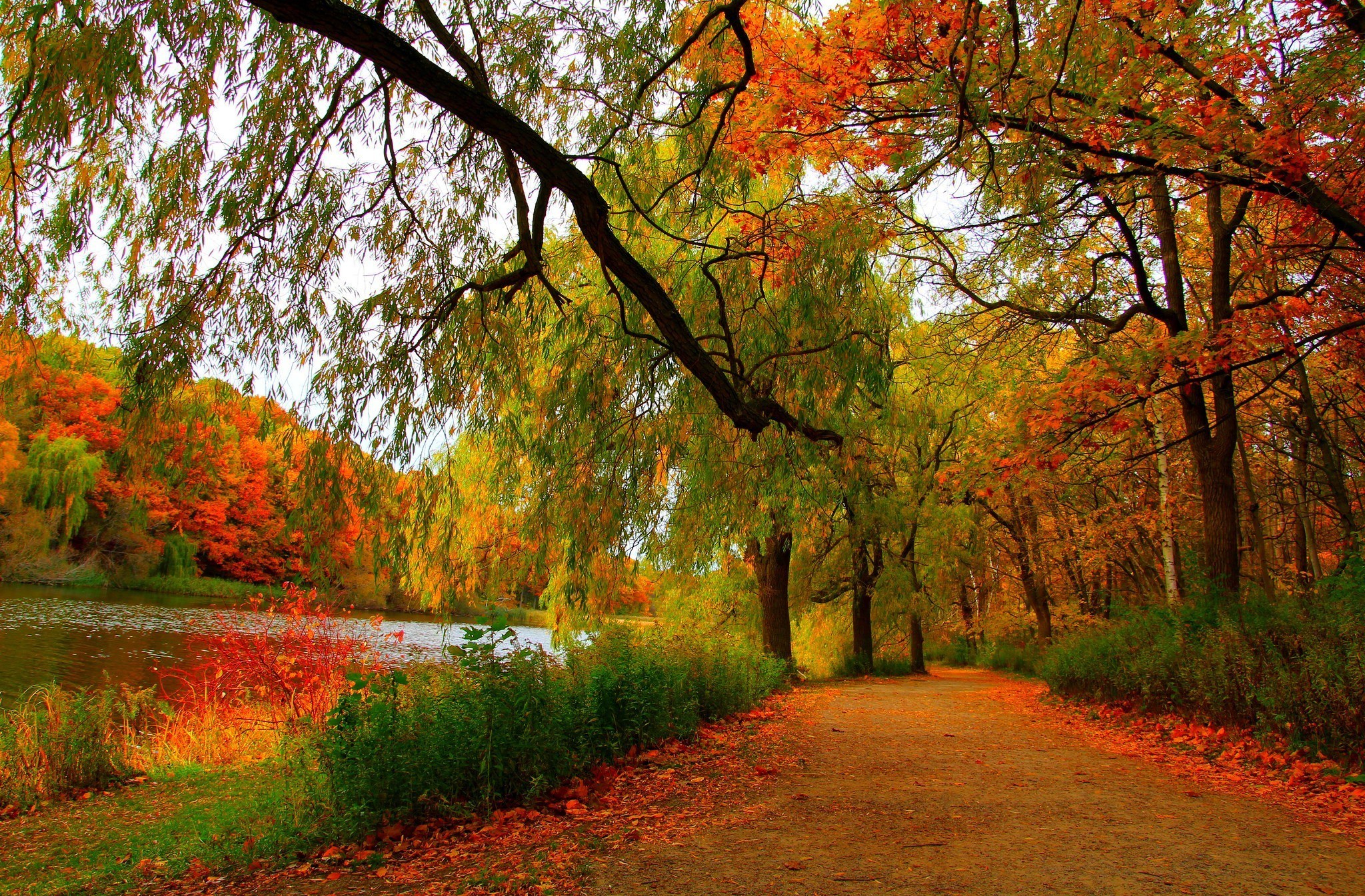 Download Fall River Man Made Path HD Wallpaper
