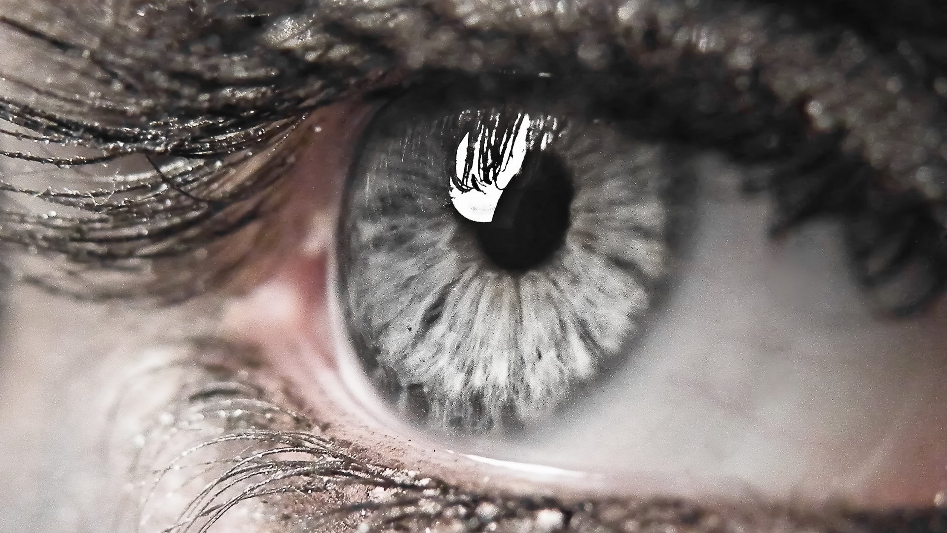 Download Woman Eye HD Wallpaper