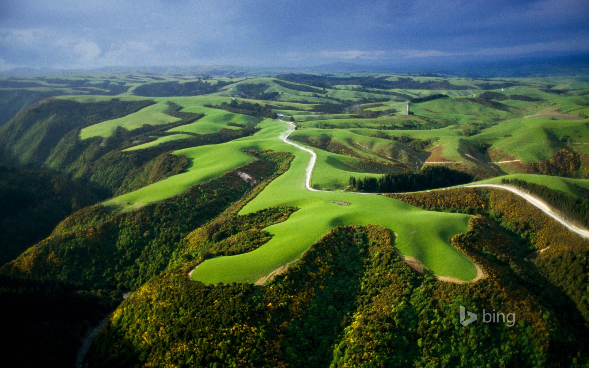 Stunning HD Nature Landscape: Rolling Green Hills and Winding Roads by ...